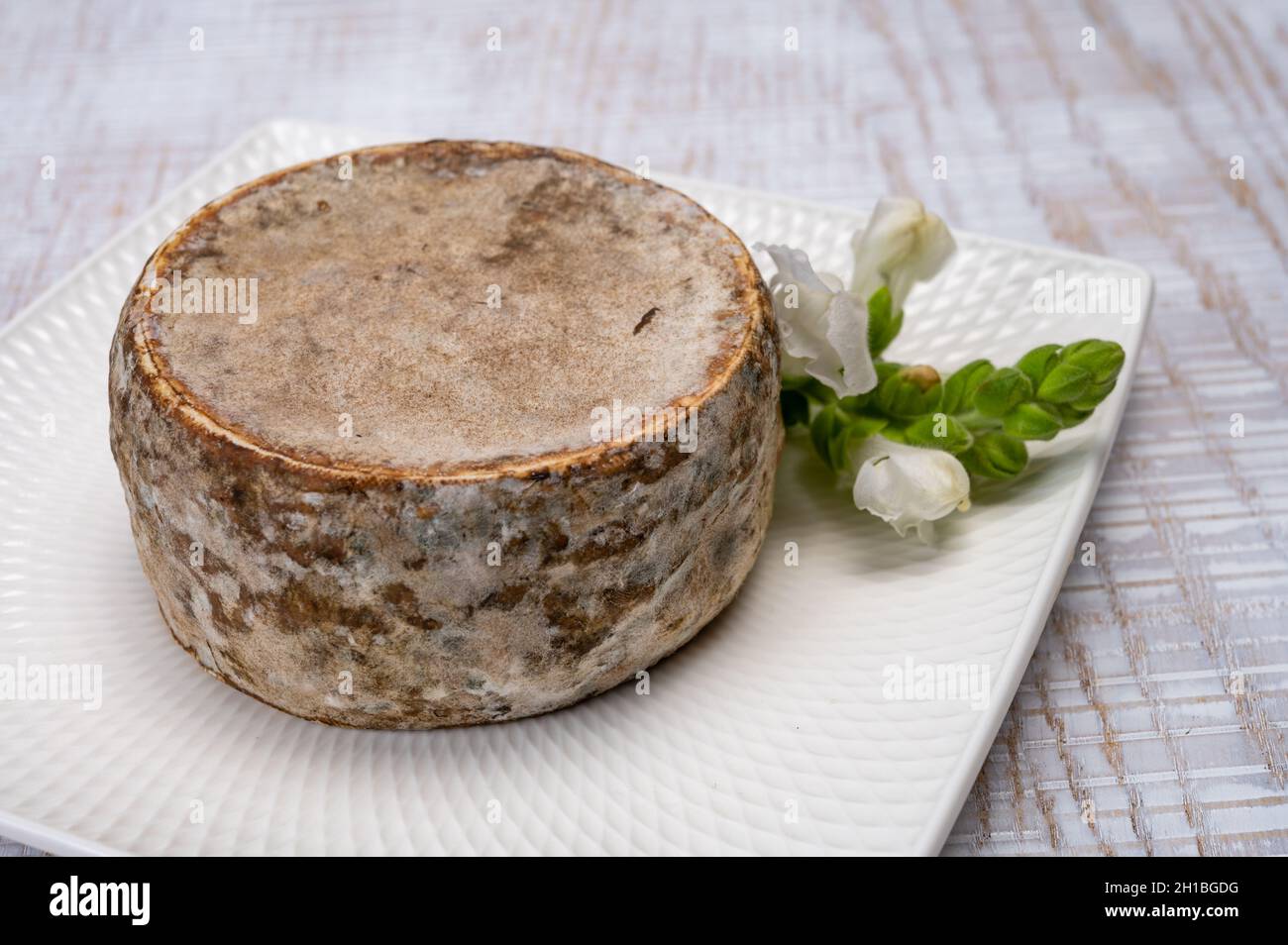 Cheese collection, matured cow cheese with mold tommette de savoie from ...