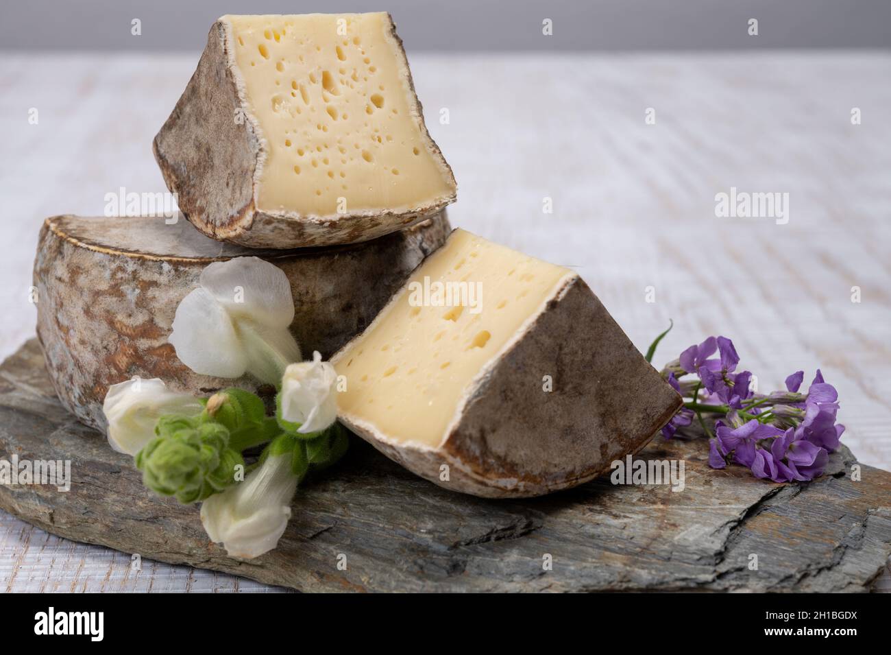 Cheese collection, matured cow cheese with mold tommette de savoie from ...
