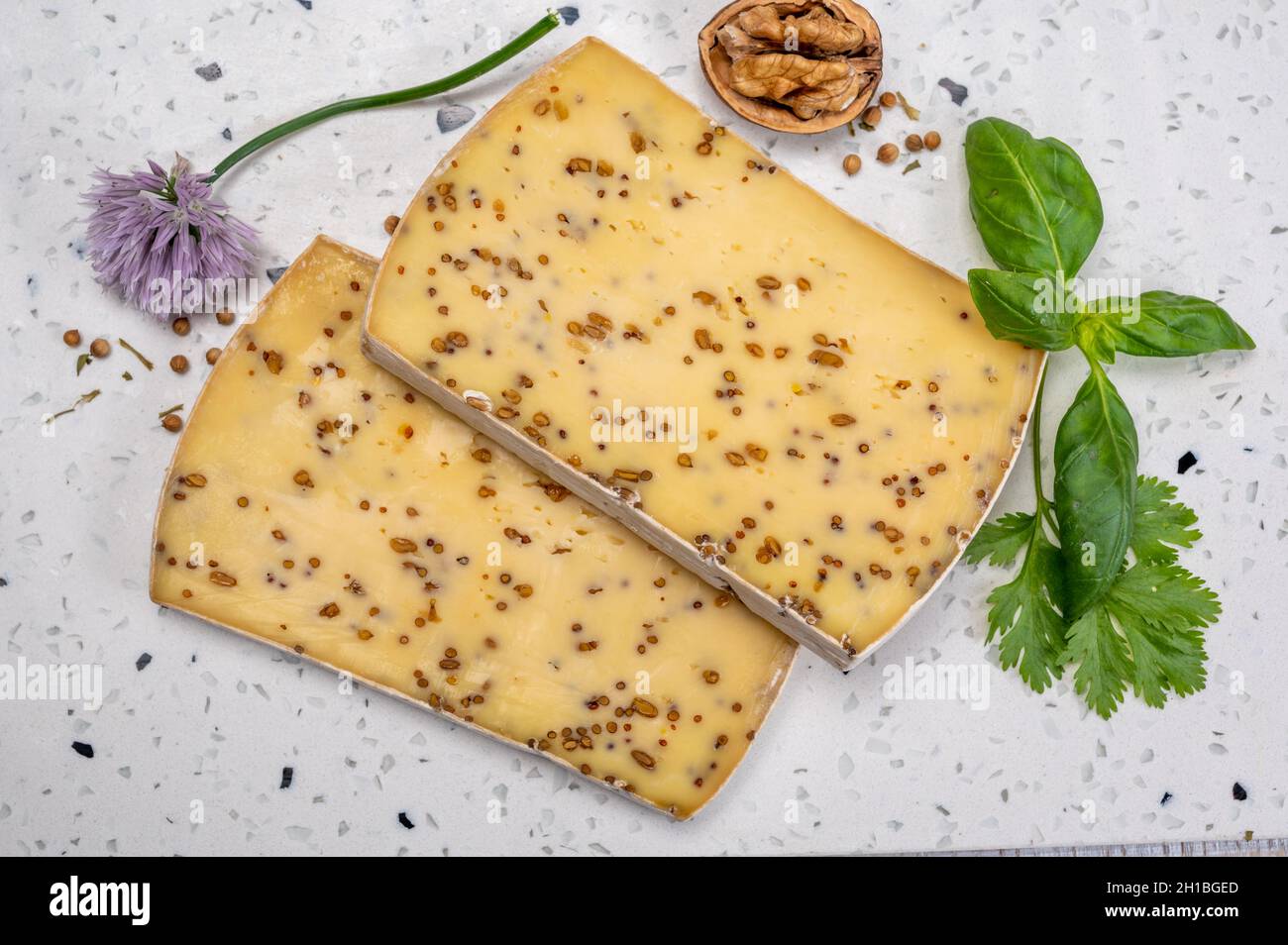 Cheese collection, matured yellow cow cheese with mustard seeds from ...