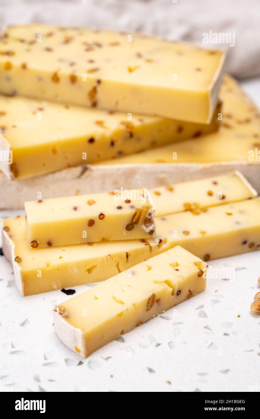Cheese collection, matured yellow cow cheese with mustard seeds from ...