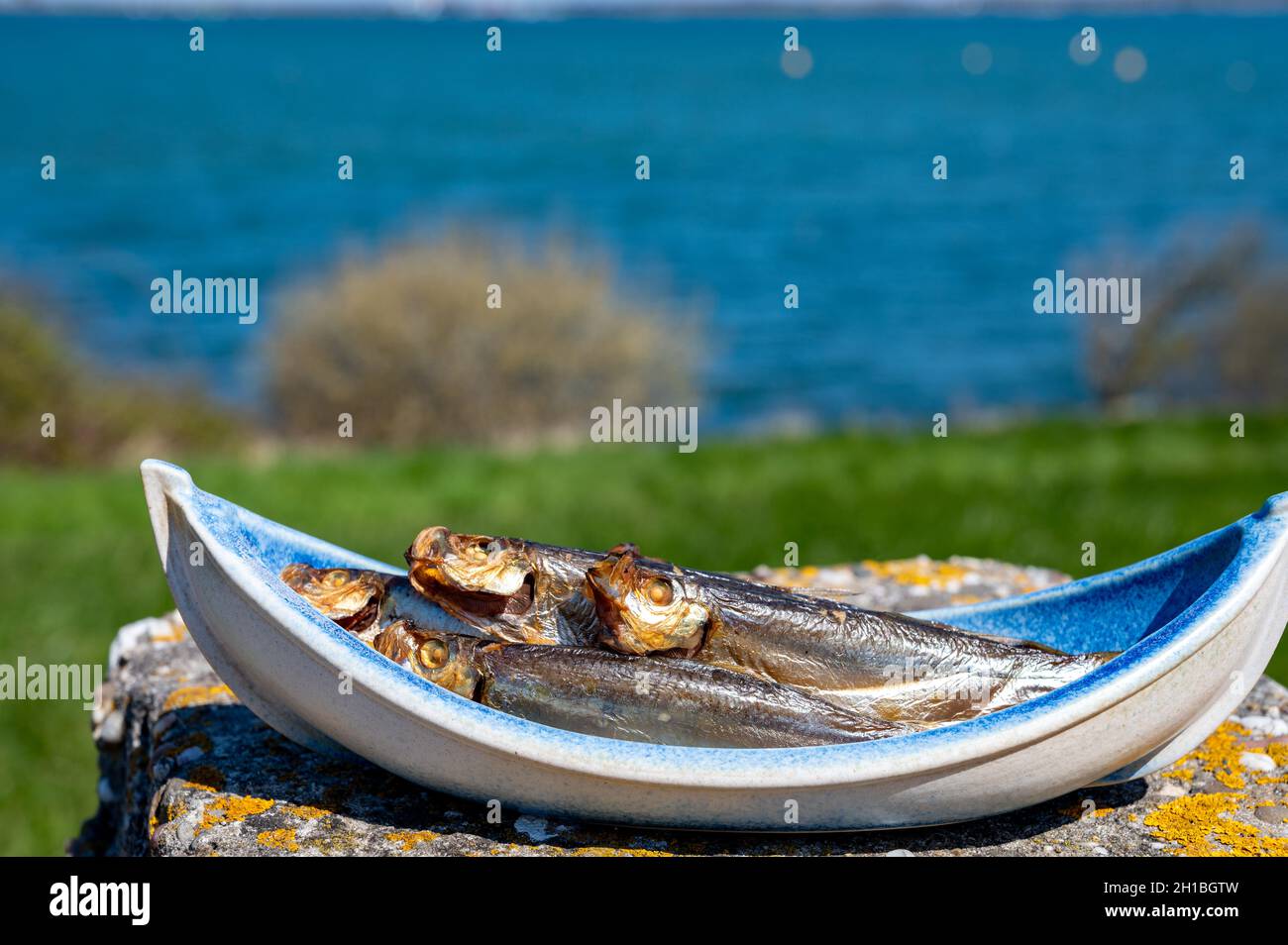 Smoked sprattus or sprats sea fish served outdoor with view on blue sea ...