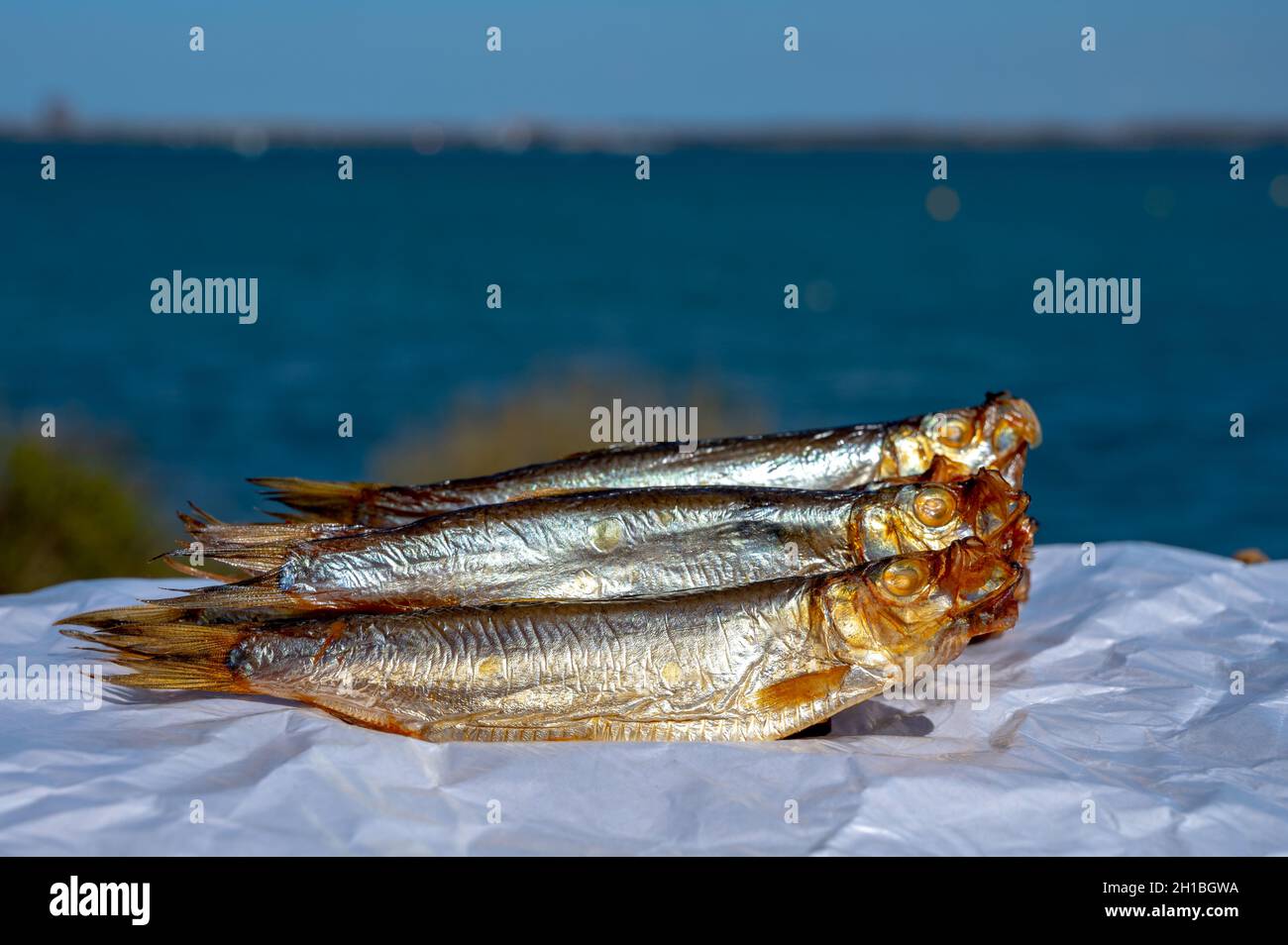 Smoked sprattus or sprats sea fish served outdoor with view on blue sea ...
