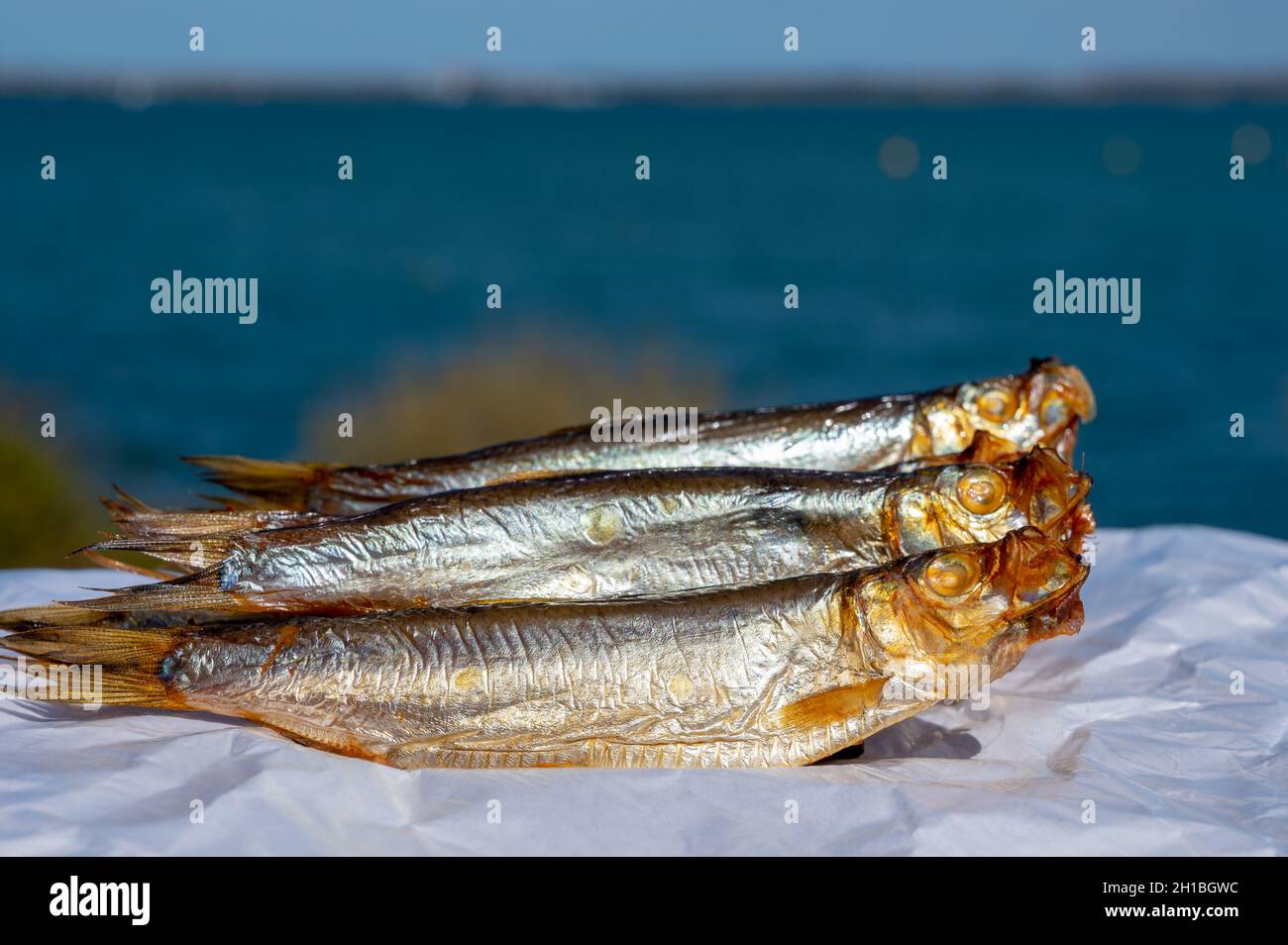 Smoked sprattus or sprats sea fish served outdoor with view on blue sea ...