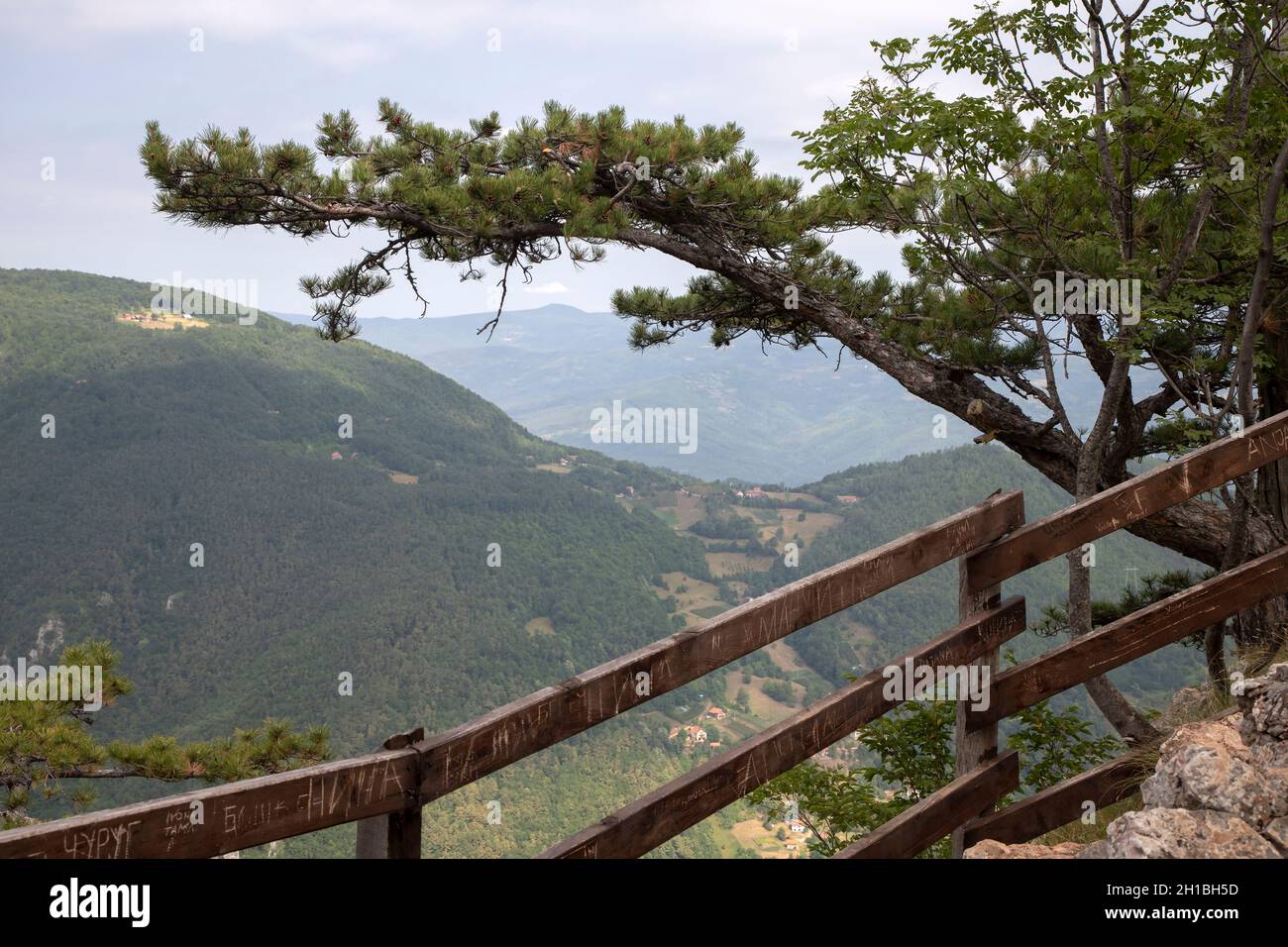 Trees growing on mountain slope hi-res stock photography and images - Alamy