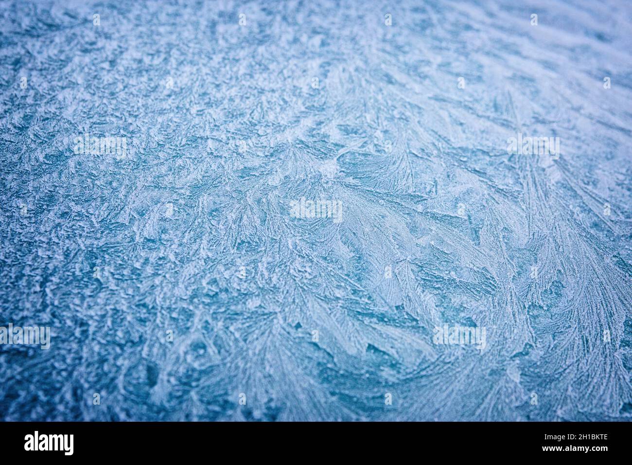 Ice flowers and frozen window macro view. Frost texture pattern. Cold ...