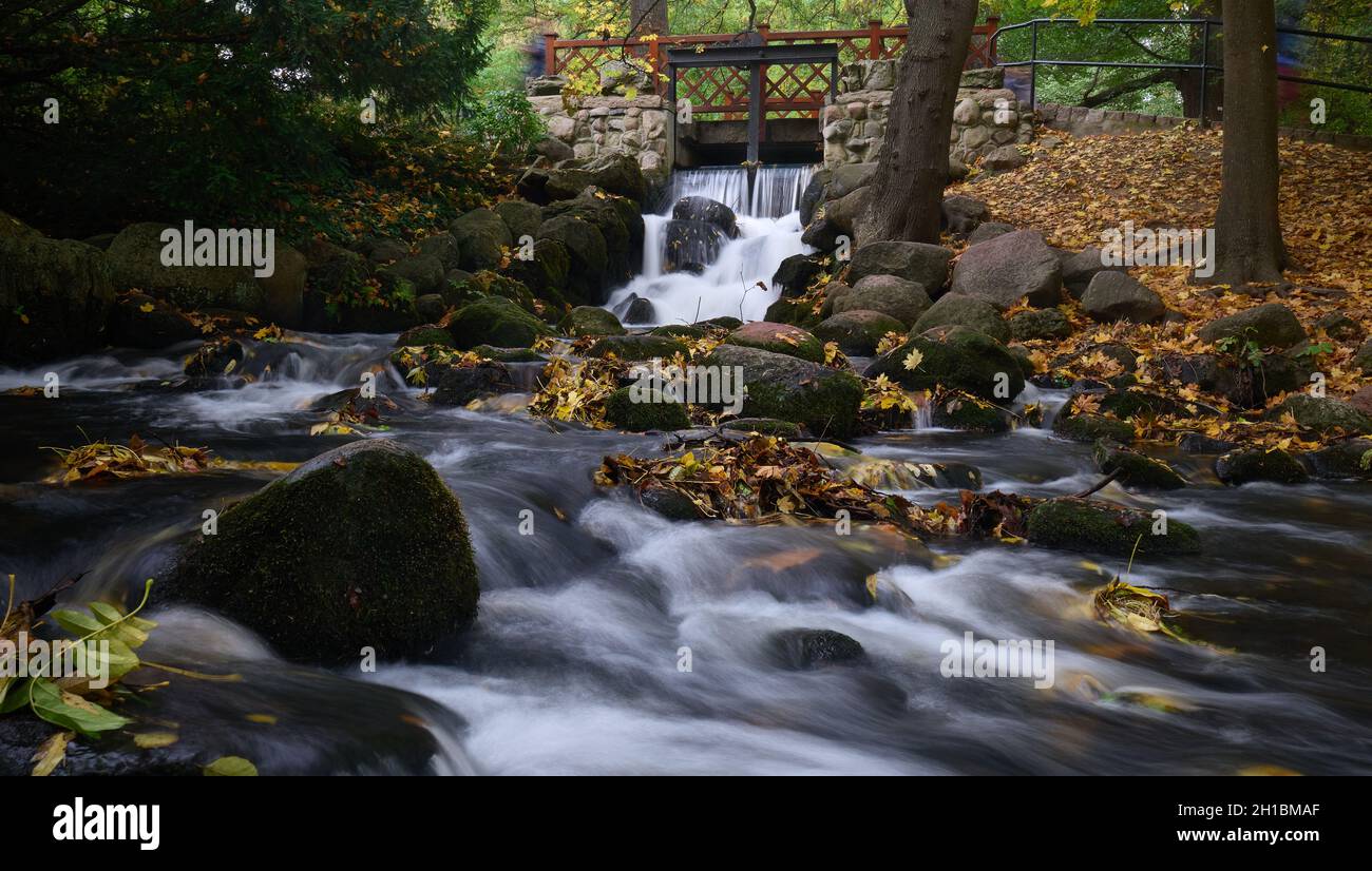 Yellow fallen leaves on the background of a waterfall Stock Photo - Alamy