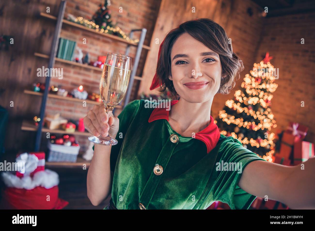 The Wine Drinking Elf High Resolution Stock Photography and Images - Alamy