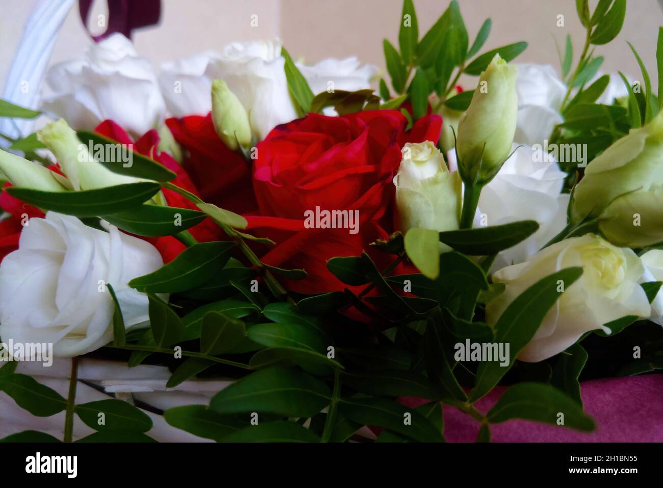 Roses for the holiday hi-res stock photography and images - Alamy