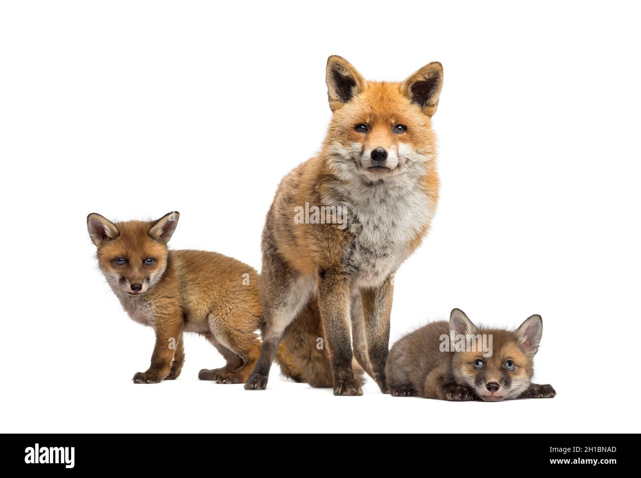 Seven people sitting Cut Out Stock Images & Pictures - Alamy