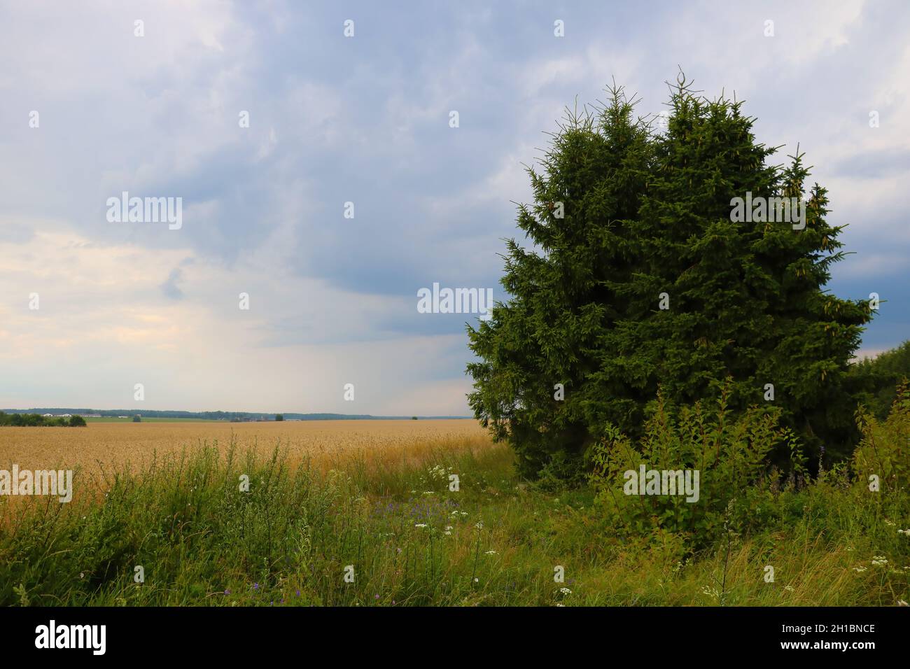 Wind before rain hi-res stock photography and images - Alamy