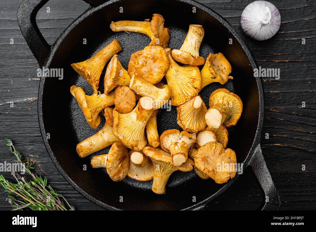 Cantharellus cibarius, chanterelle mushrooms set, in cast iron frying ...