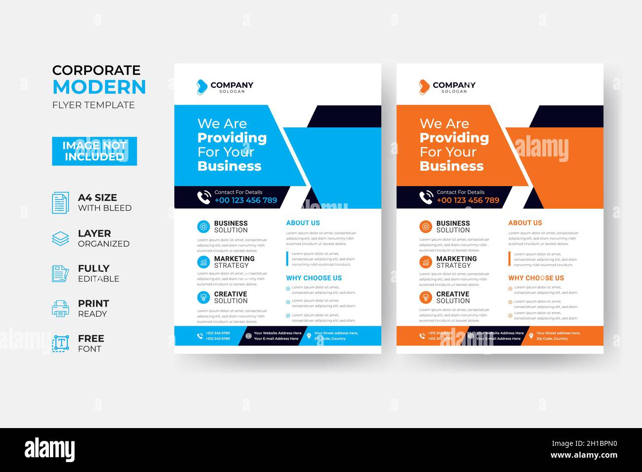 Business Flyer Corporate Flyer Template Geometric shape Stock Vector ...