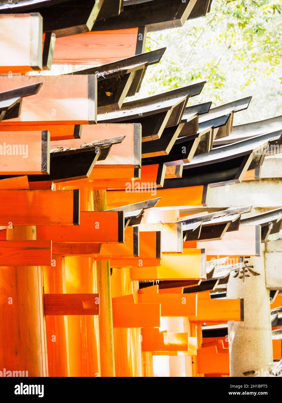 Vertical shot of Torii Gates at the Fushimi Inari head shrine of the ...