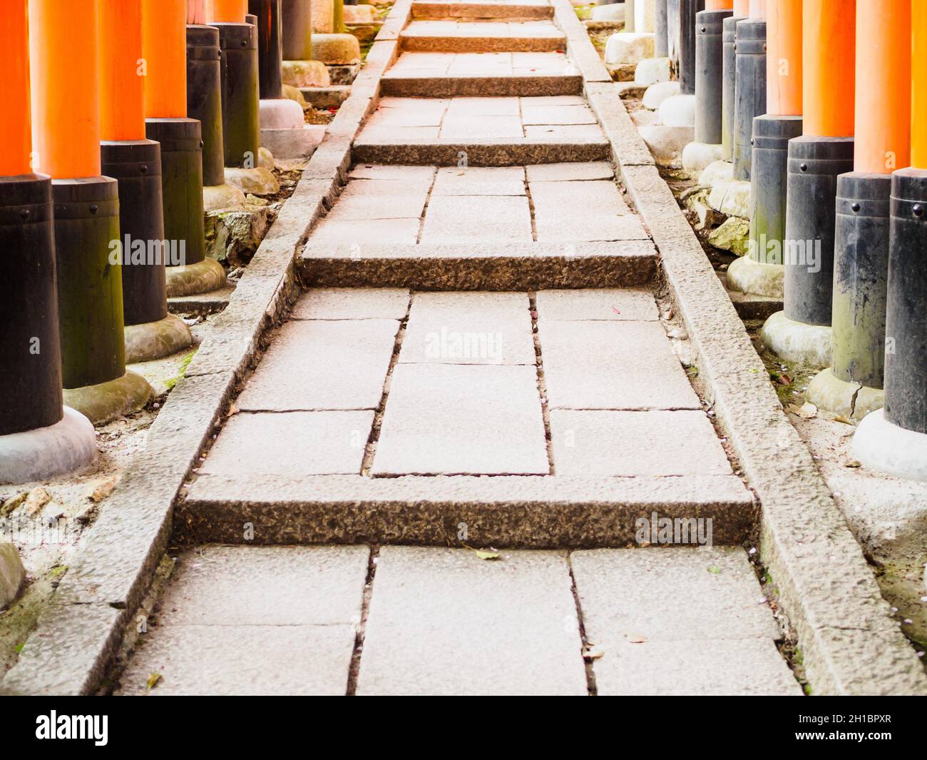 Torii Gates at the Fushimi Inari head shrine of the kami Inari in Kyoto ...