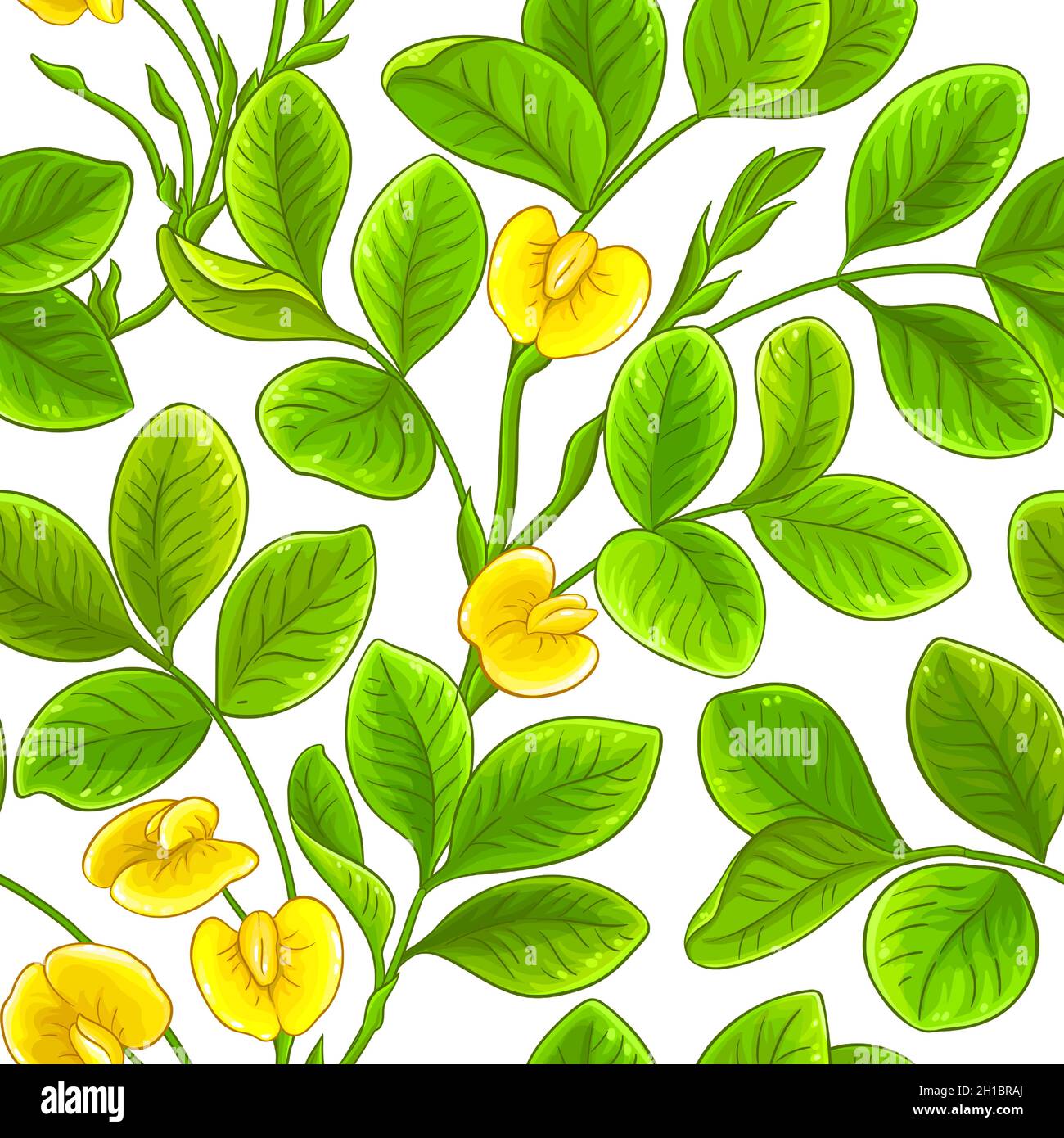 peanut vector pattern on white background Stock Vector Image & Art - Alamy