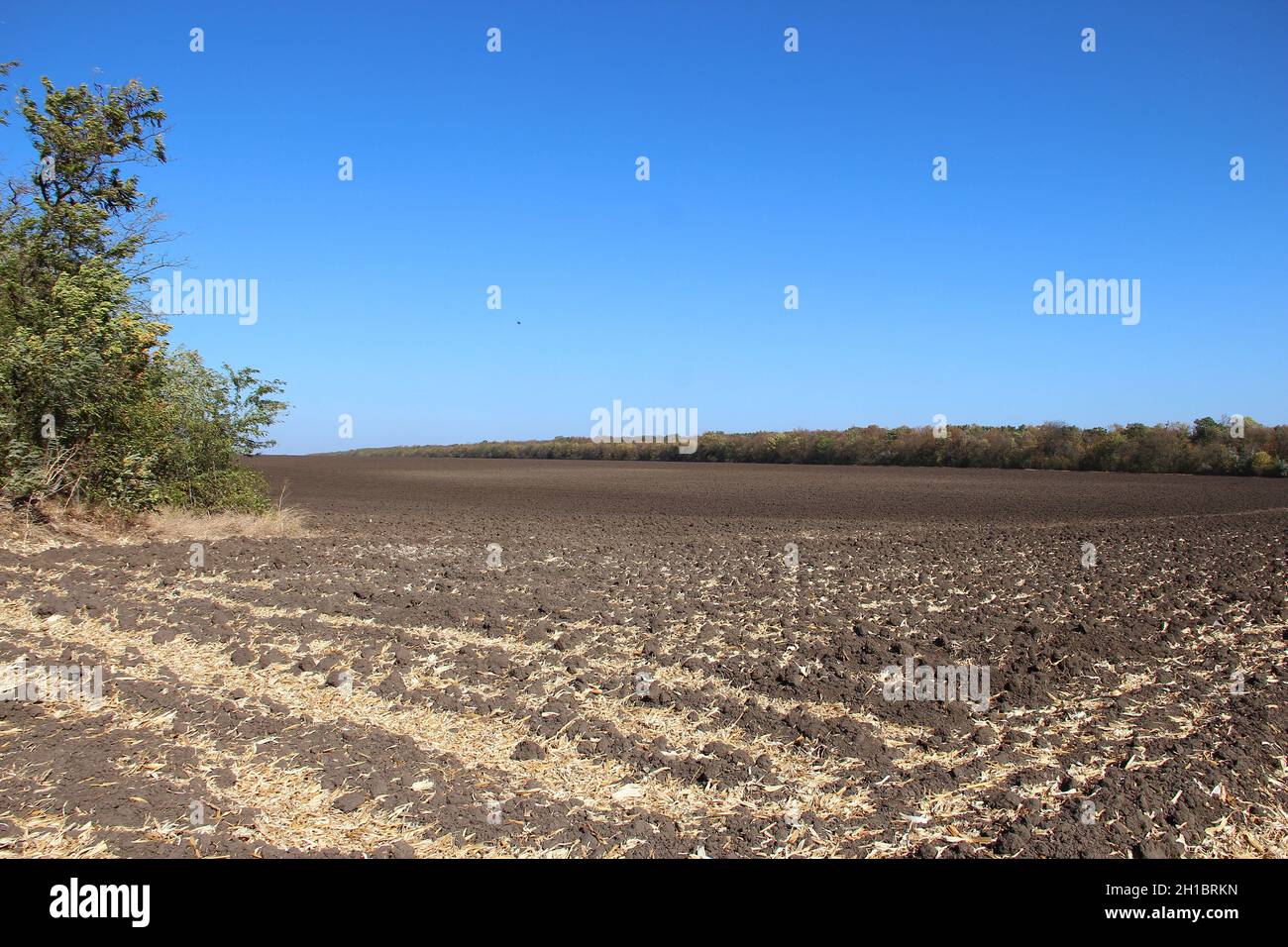 Good soil structure hi-res stock photography and images - Alamy