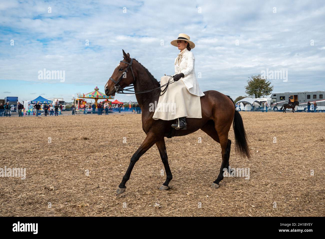 Side saddle hi-res stock photography and images - Alamy