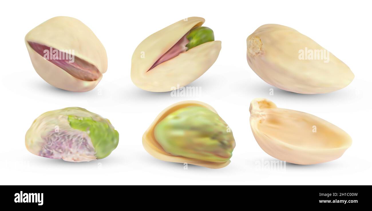 Vector raw pistachio nuts with shell. Realistic salted kernel ...