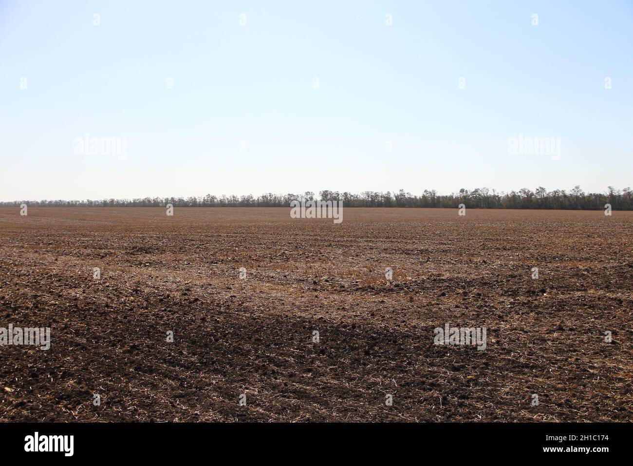 Good soil structure hi-res stock photography and images - Alamy