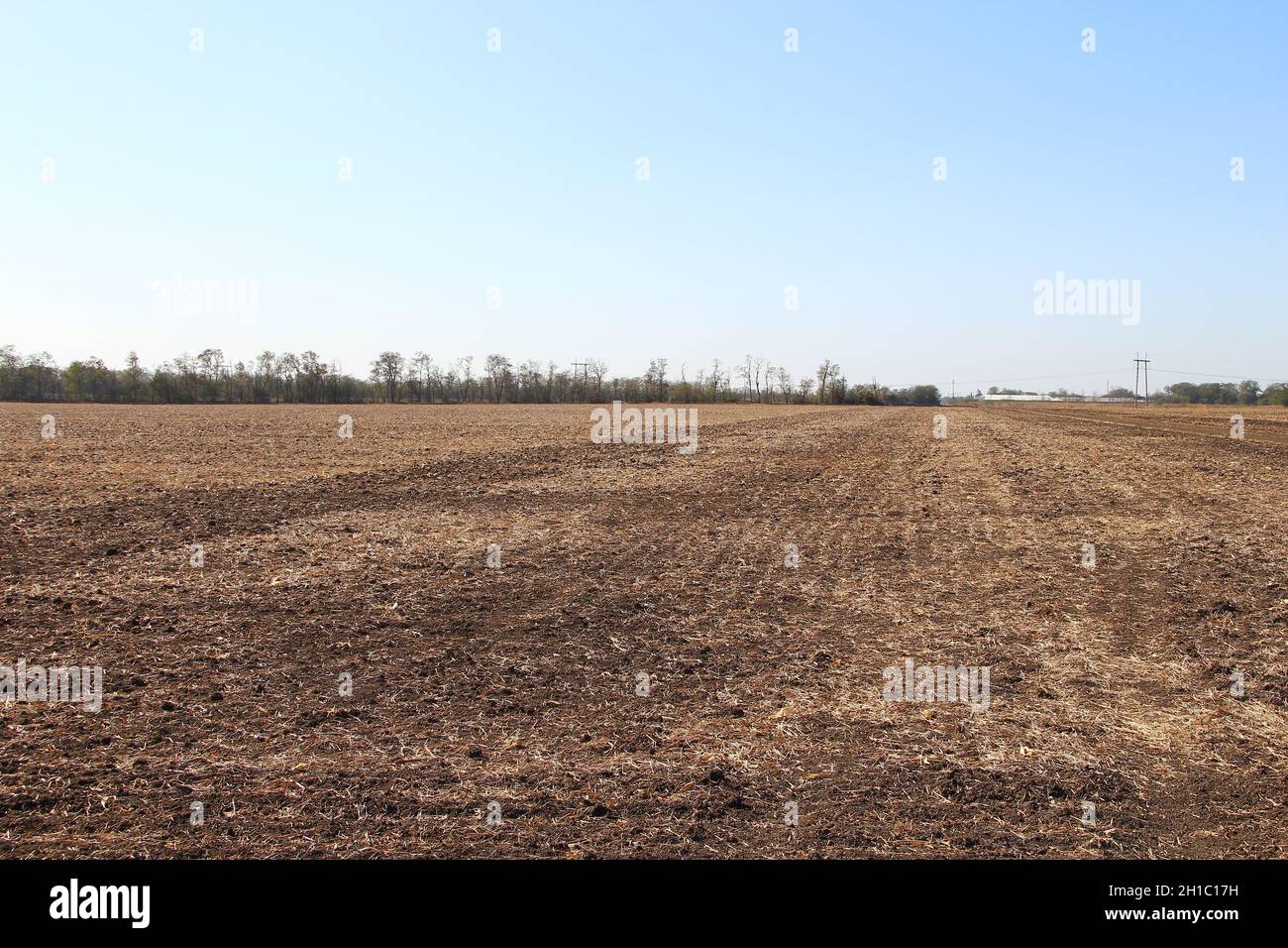 Good soil structure hi-res stock photography and images - Alamy