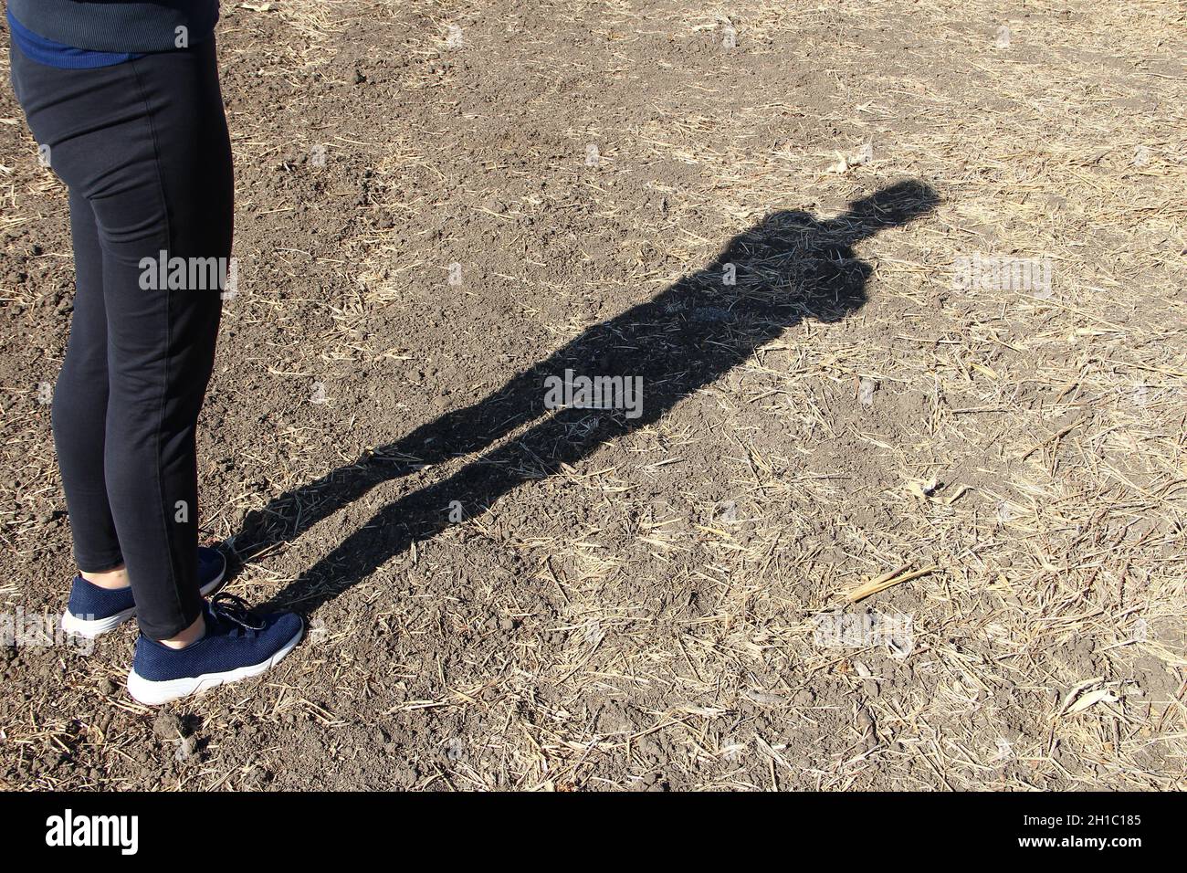 Woman legs and shadow on the agricultural field Stock Photo - Alamy