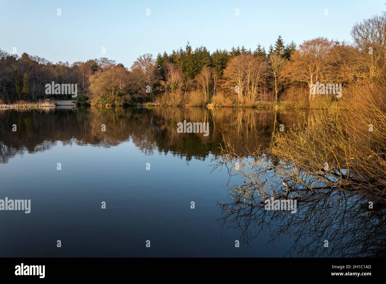 Stover Country Park; Lake; Devon; UK Stock Photo - Alamy