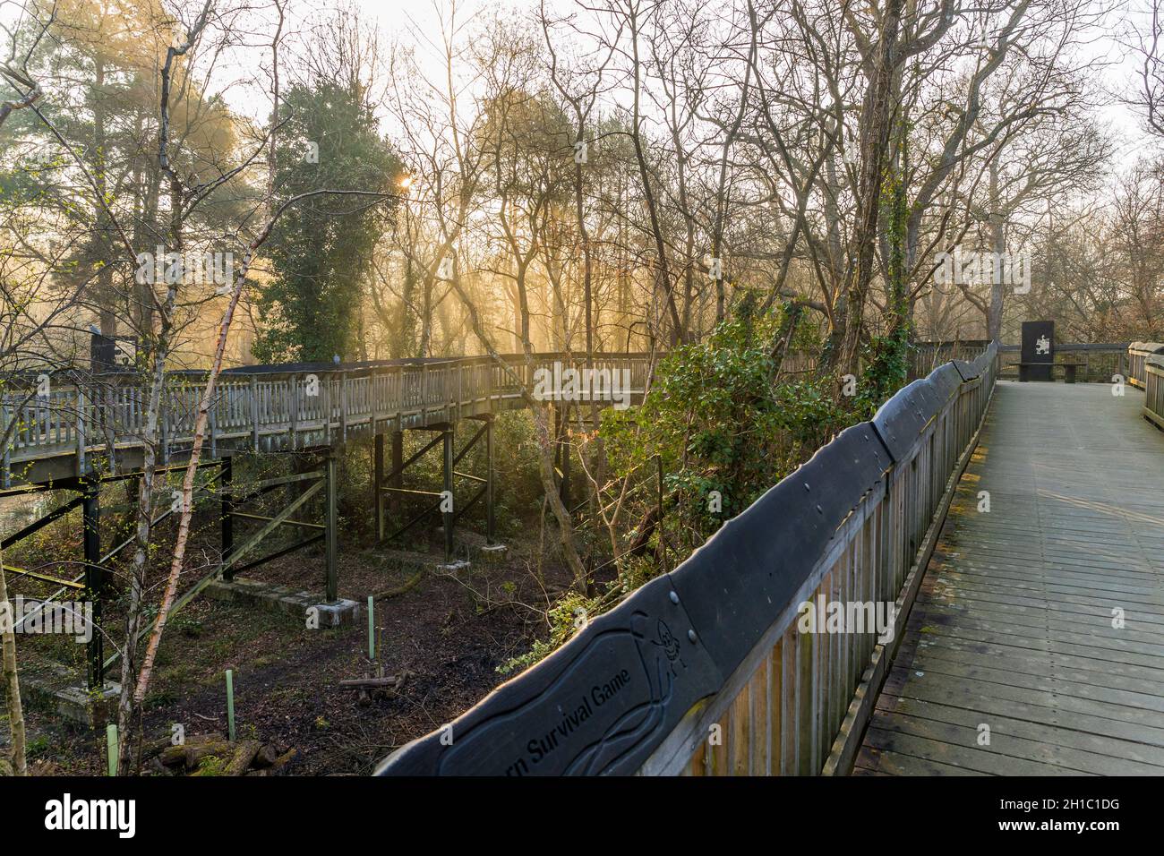 Canopy walk hi-res stock photography and images - Alamy