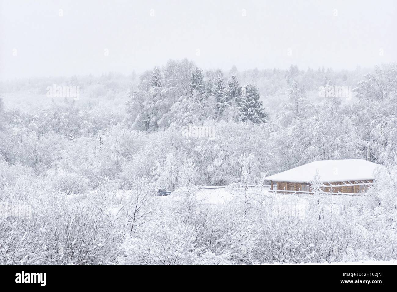 Forest cottagecore hi-res stock photography and images - Alamy