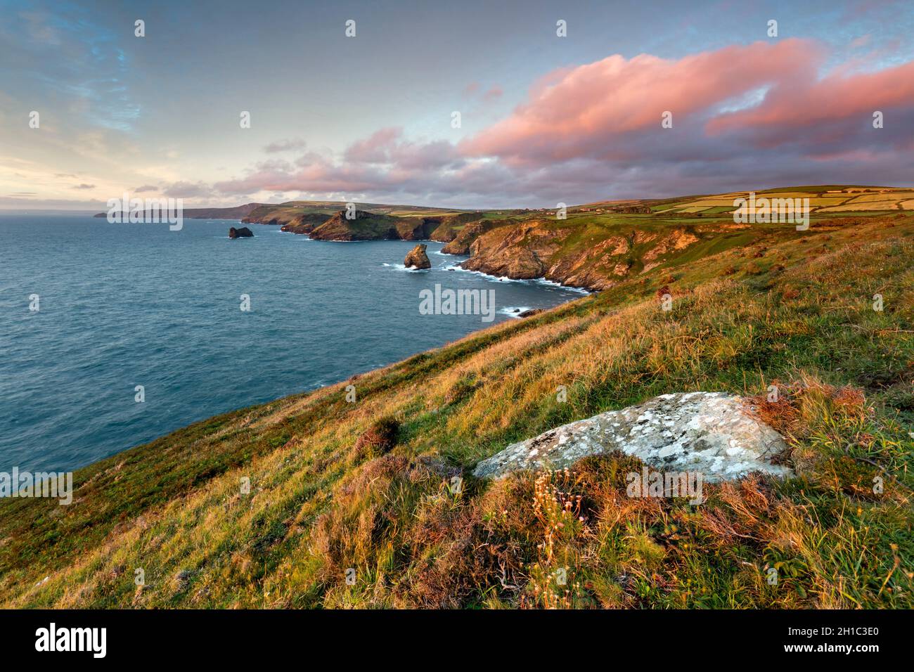 Trevalga cornwall hi-res stock photography and images - Alamy