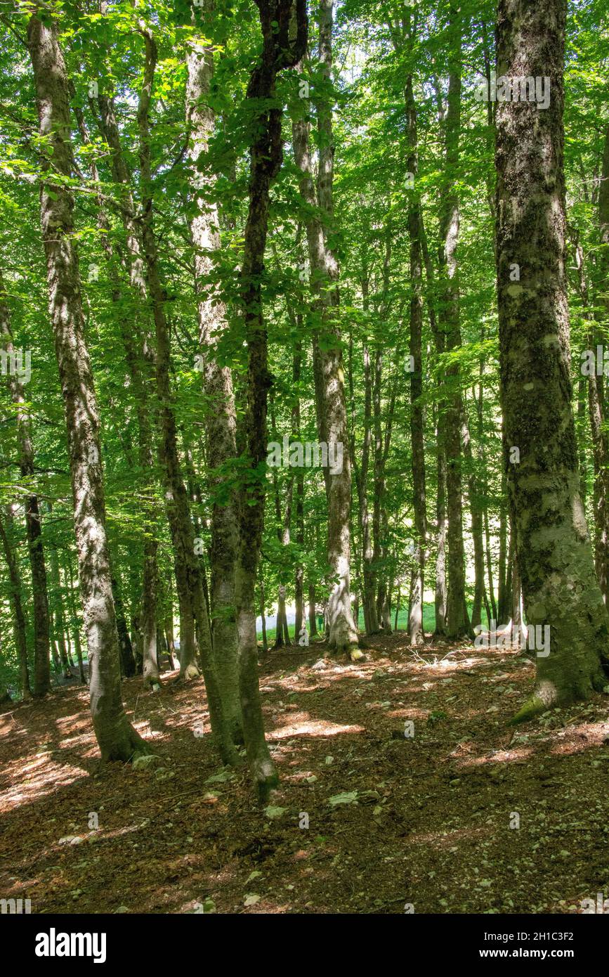 Monte terminillo hi-res stock photography and images - Alamy