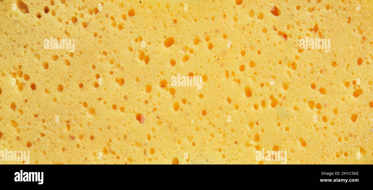 Beautiful sponge texture image Stock Photo - Alamy