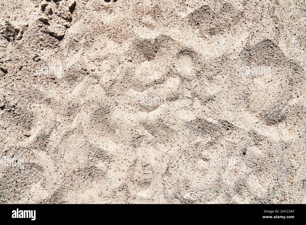 Beautiful ground texture image Stock Photo - Alamy