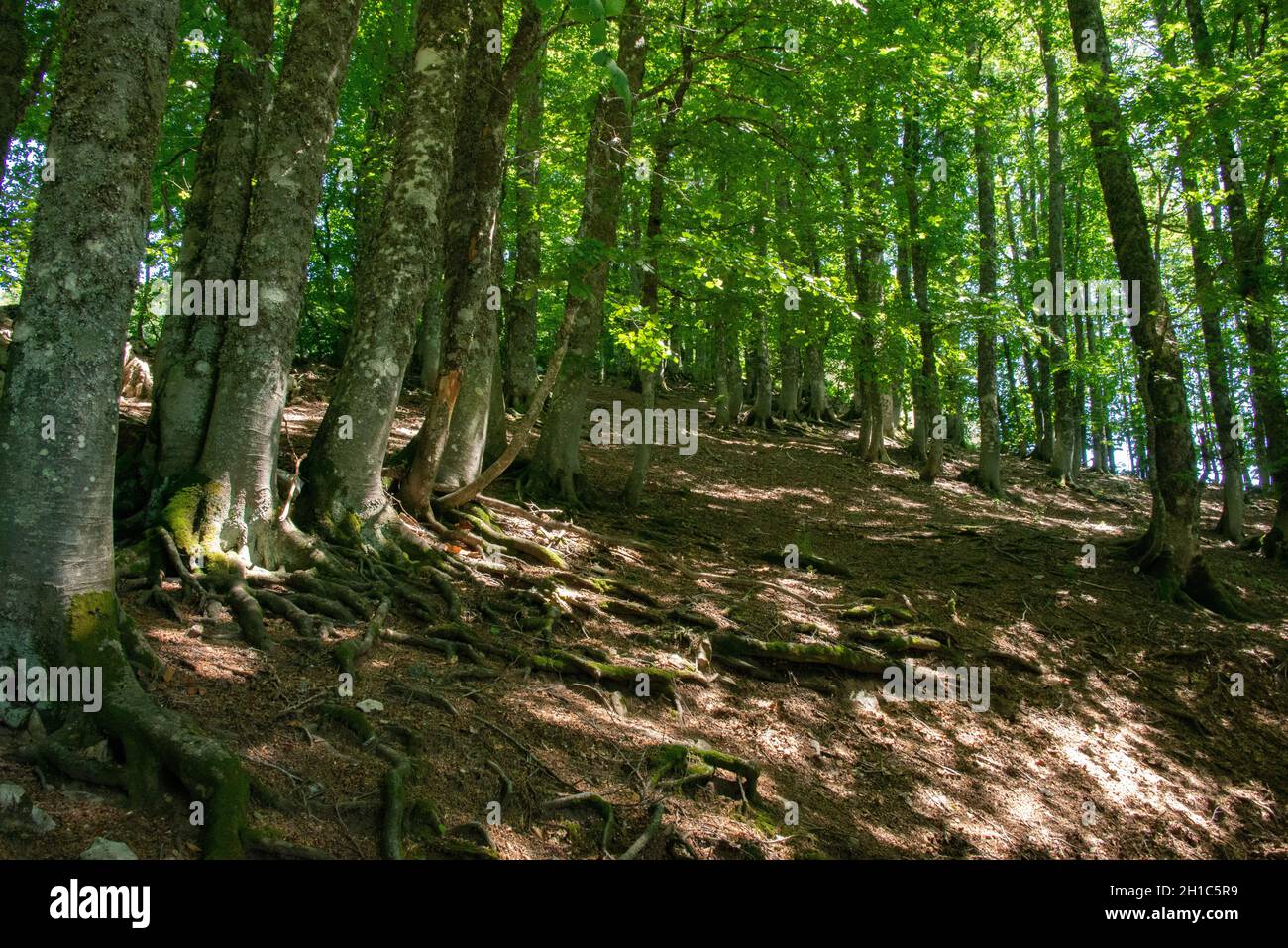 Italia terminillo hi-res stock photography and images - Alamy