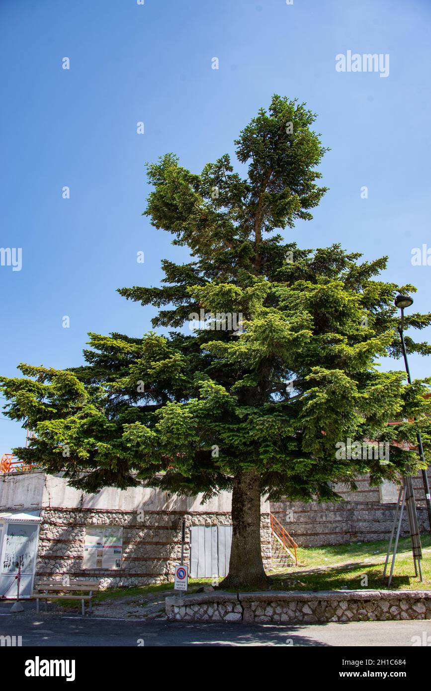 Italia terminillo hi-res stock photography and images - Alamy