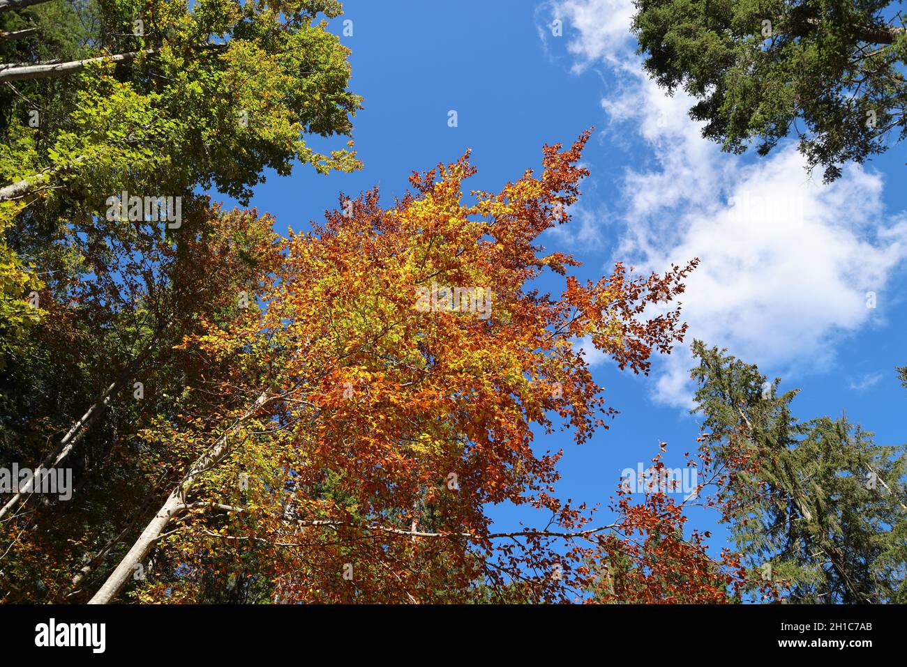 Warm colors autumn dolomites hi-res stock photography and images - Alamy