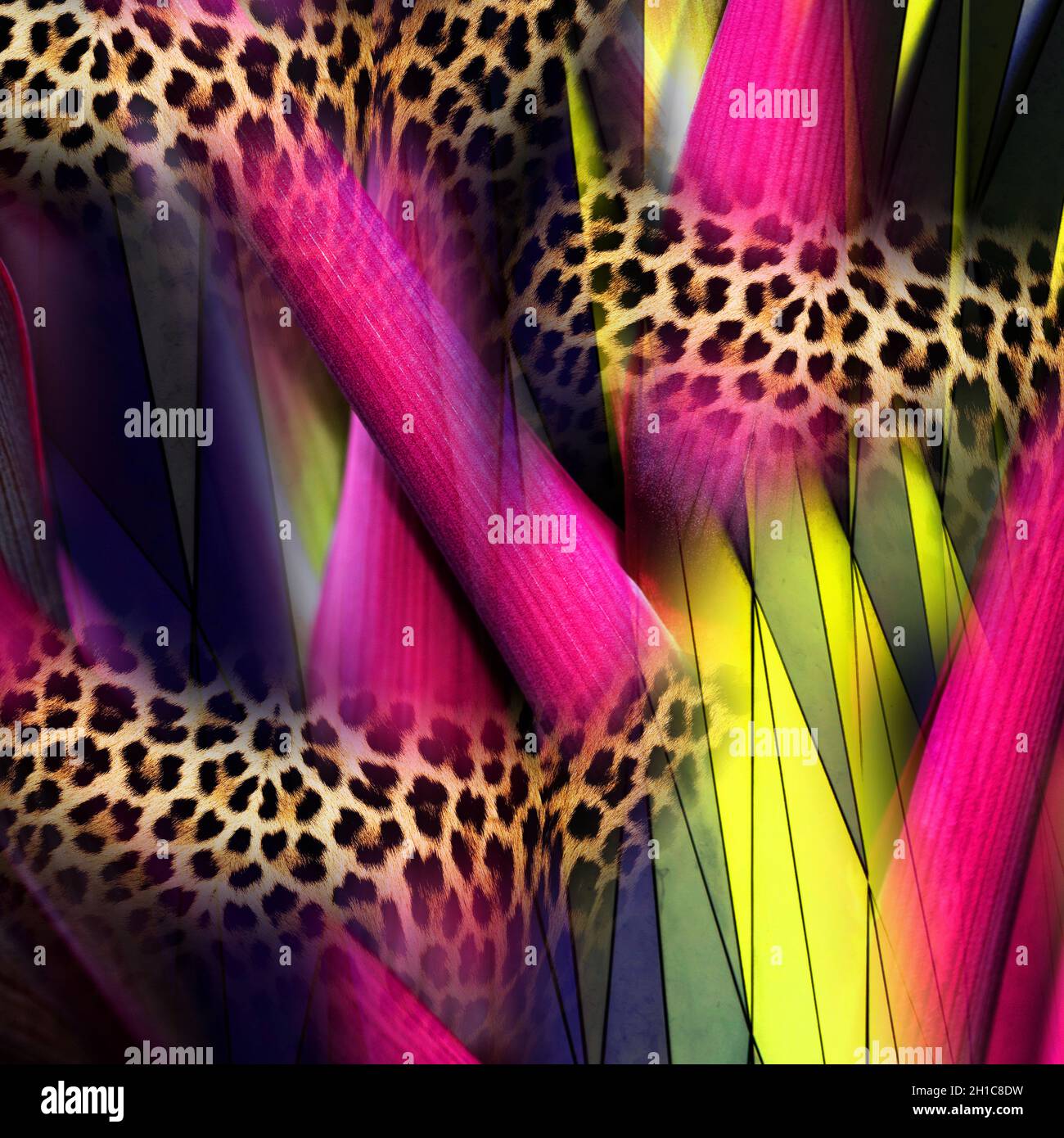 Botanical composition abstract background for amazing fabric background ...