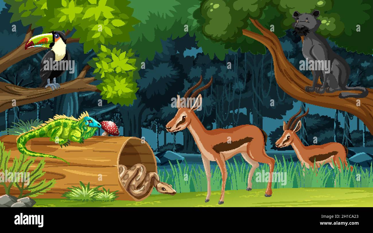 Wild animals in forest landscape background illustration Stock Vector ...