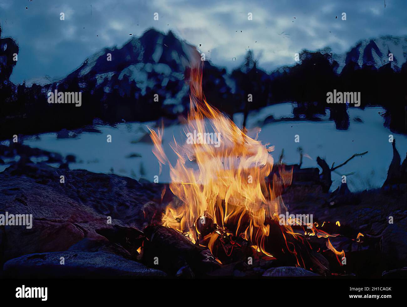 Close-up shot of a campfire with flames at night in Sierra Nevada ...