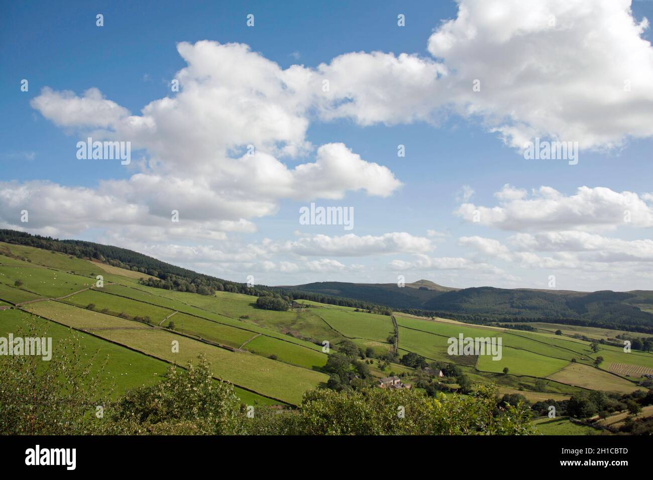 A view of Shutlingsloe and the Macclesfield Forest from the slopes of ...