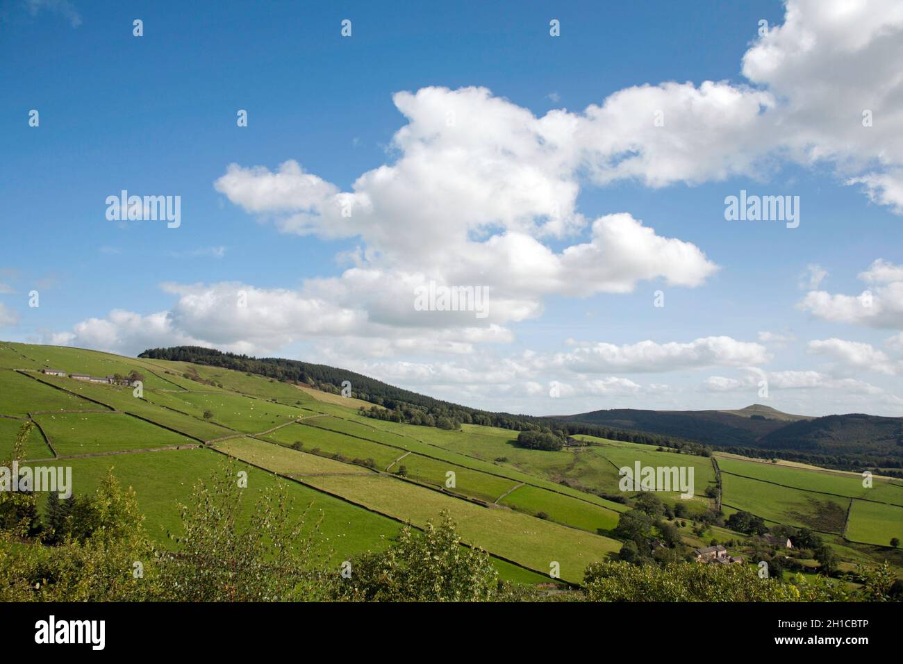 A view of Shutlingsloe and the Macclesfield Forest from the slopes of ...