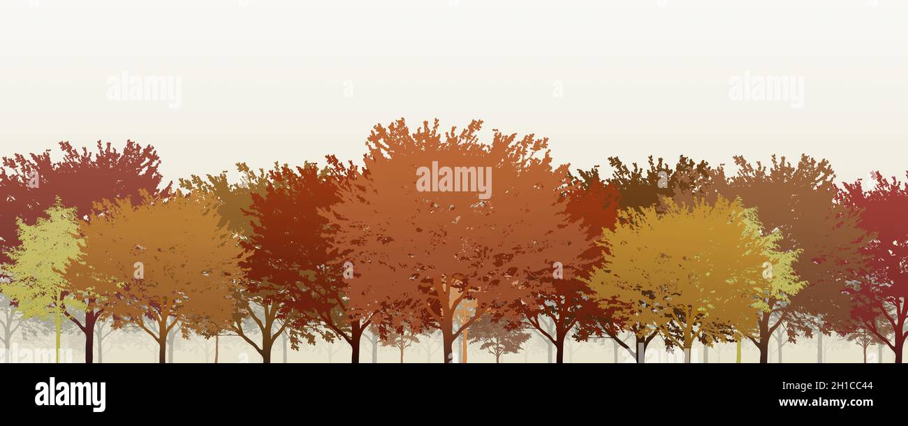 diversity of colors of autumn trees in parks and woods Stock Photo - Alamy