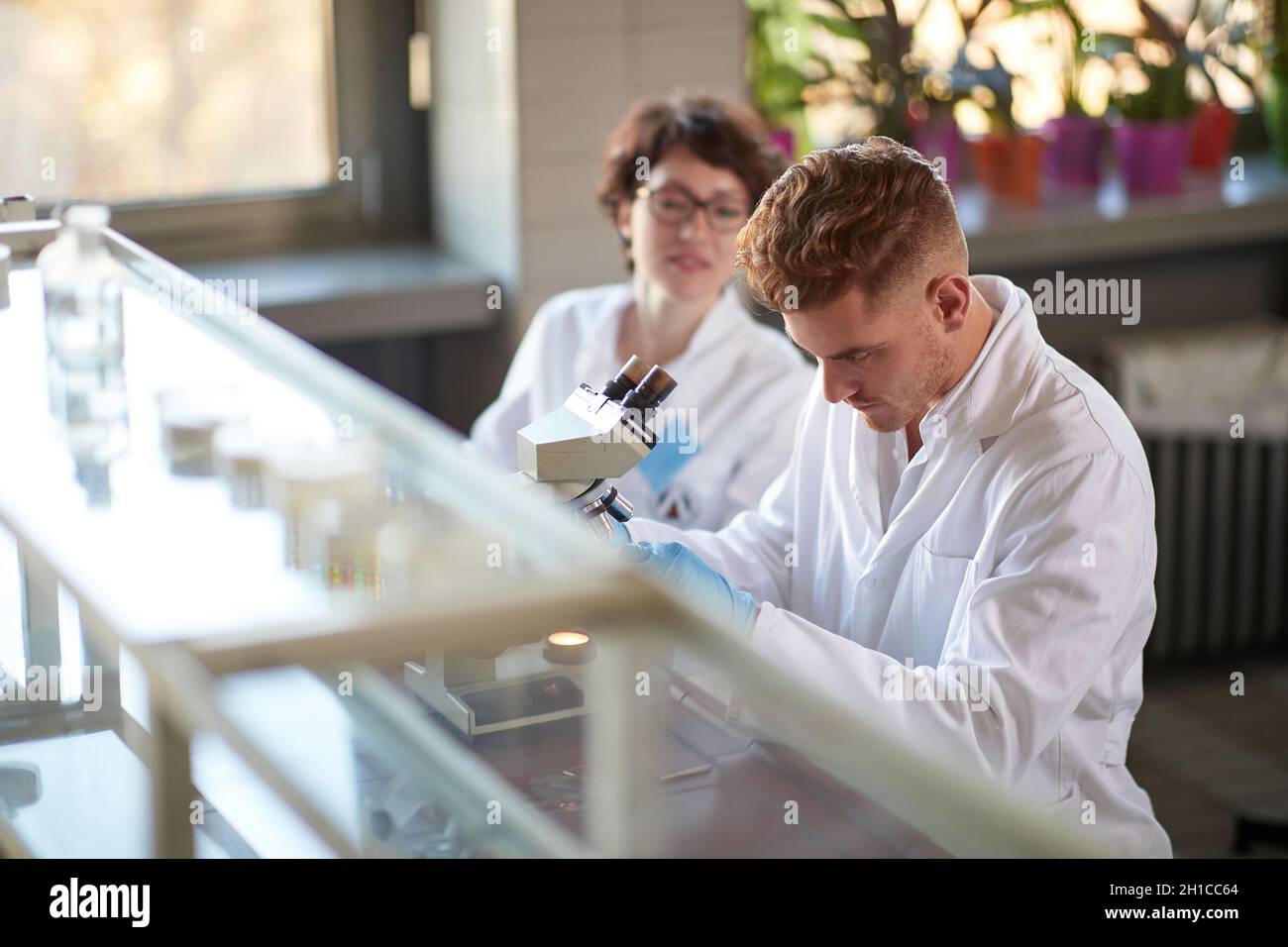 Male with female in lab working with microscope Stock Photo - Alamy
