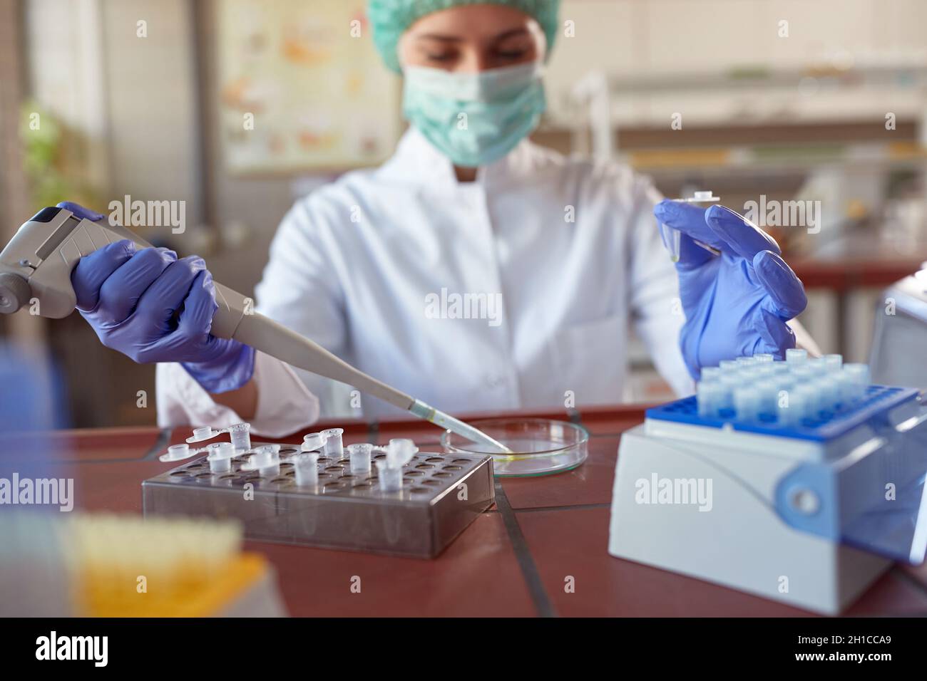 Lab technician using automatic pipette for test sample Stock Photo - Alamy