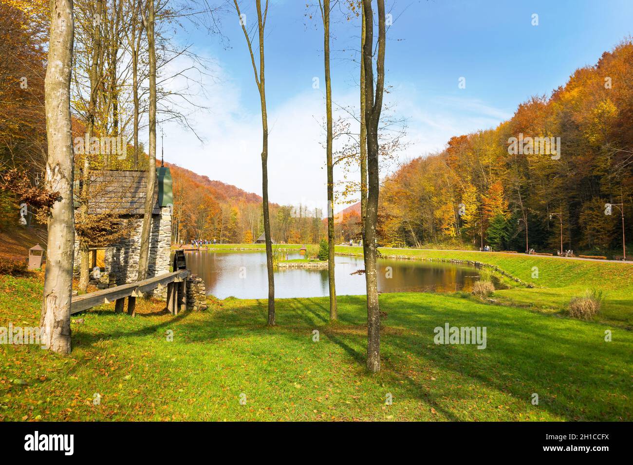 autumn scenery in the park. trees in fall foliage. beautiful landscape ...