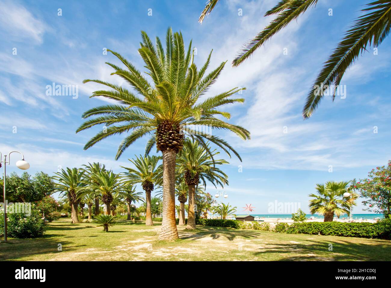 Seascape, Promenade, Tortoreto,, Abruzzo, Italy, Europe Stock Photo - Alamy