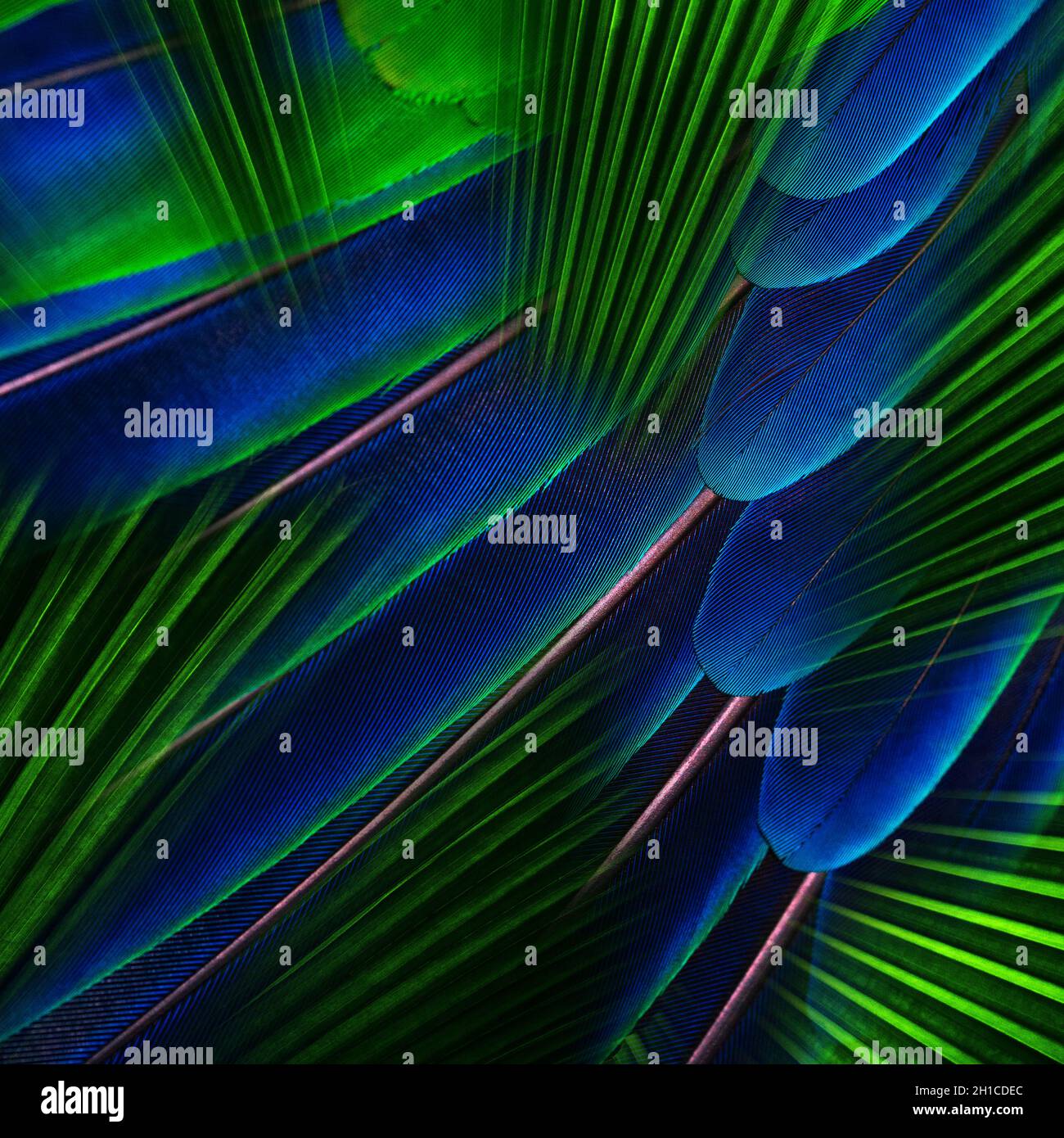 Botanical composition abstract background for amazing fabric background ...