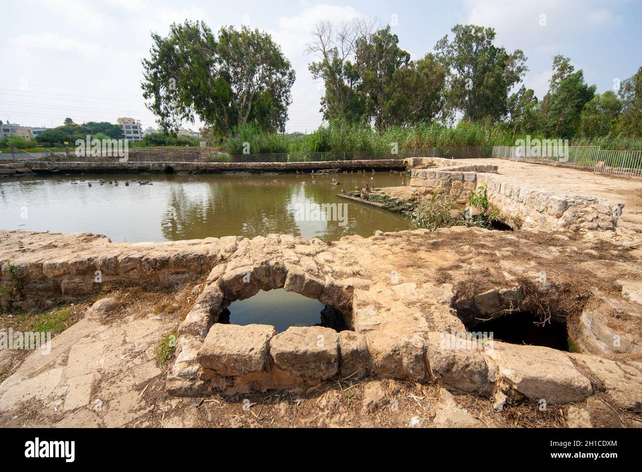 Yarkon Park is a large park in Tel Aviv, Israel, with about sixteen ...