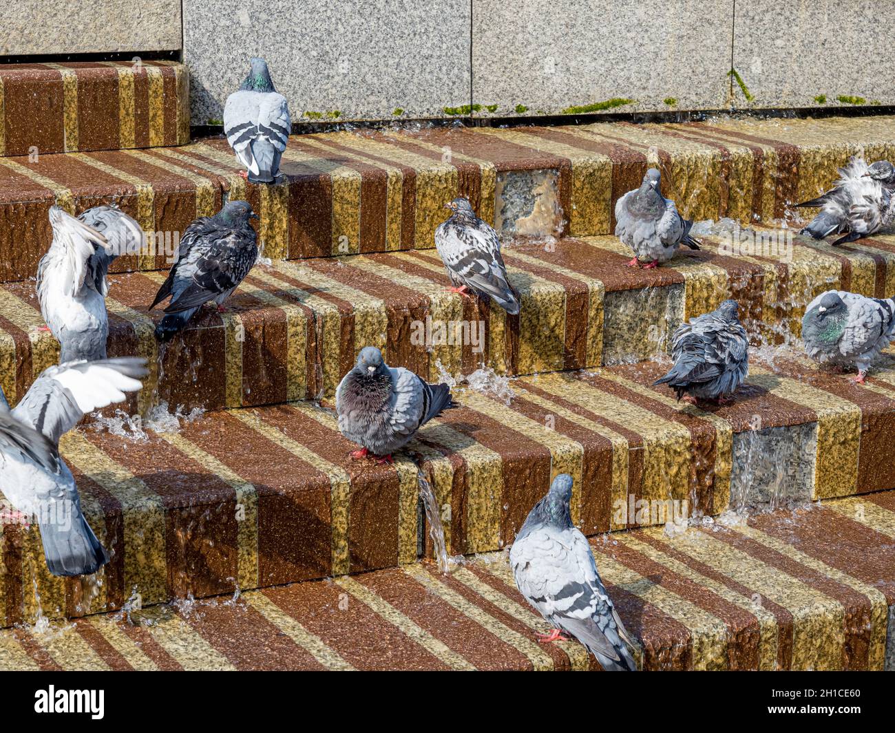 Bathing cascade hi-res stock photography and images - Alamy
