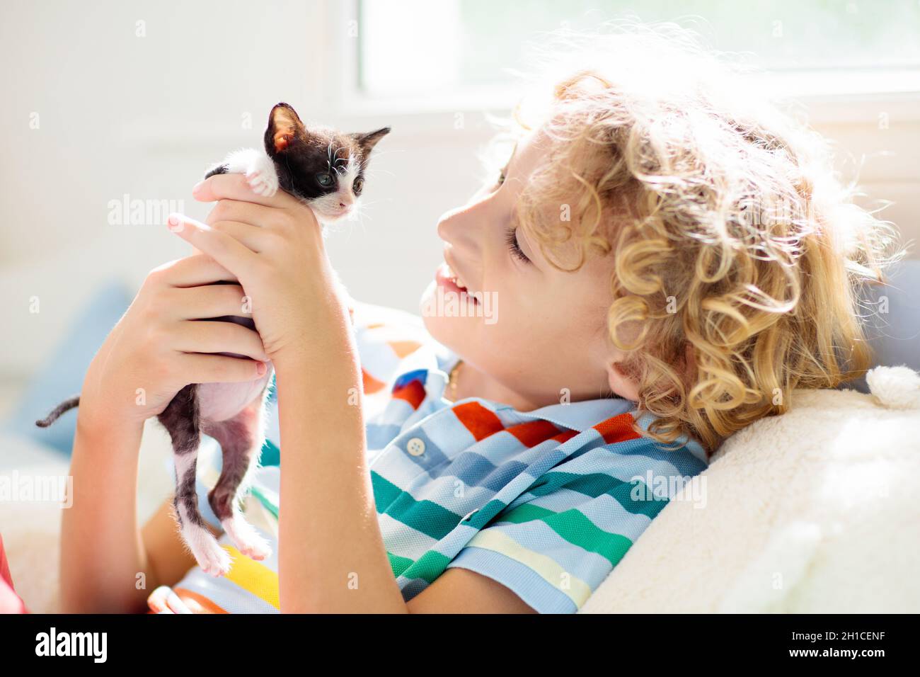 Child playing with baby cat. Little boy looking at newborn kitten. Kids ...