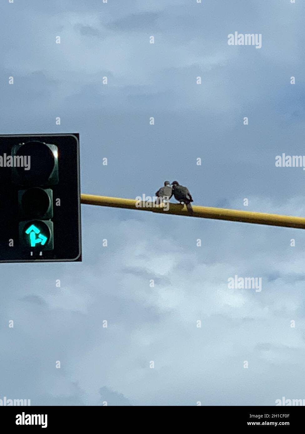 Light apparatus hi-res stock photography and images - Alamy